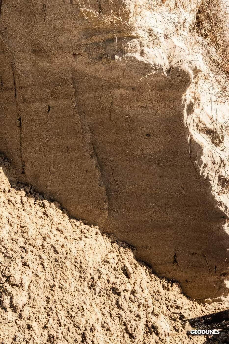 Recherche: Suivi topographique du trait de côte et de la morphologie ...