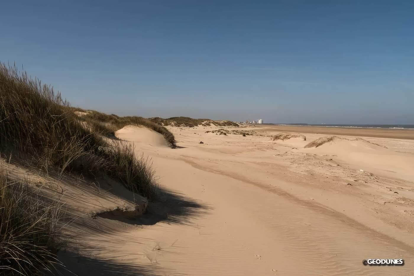 Recherche: Suivi topographique du trait de côte et de la morphologie ...