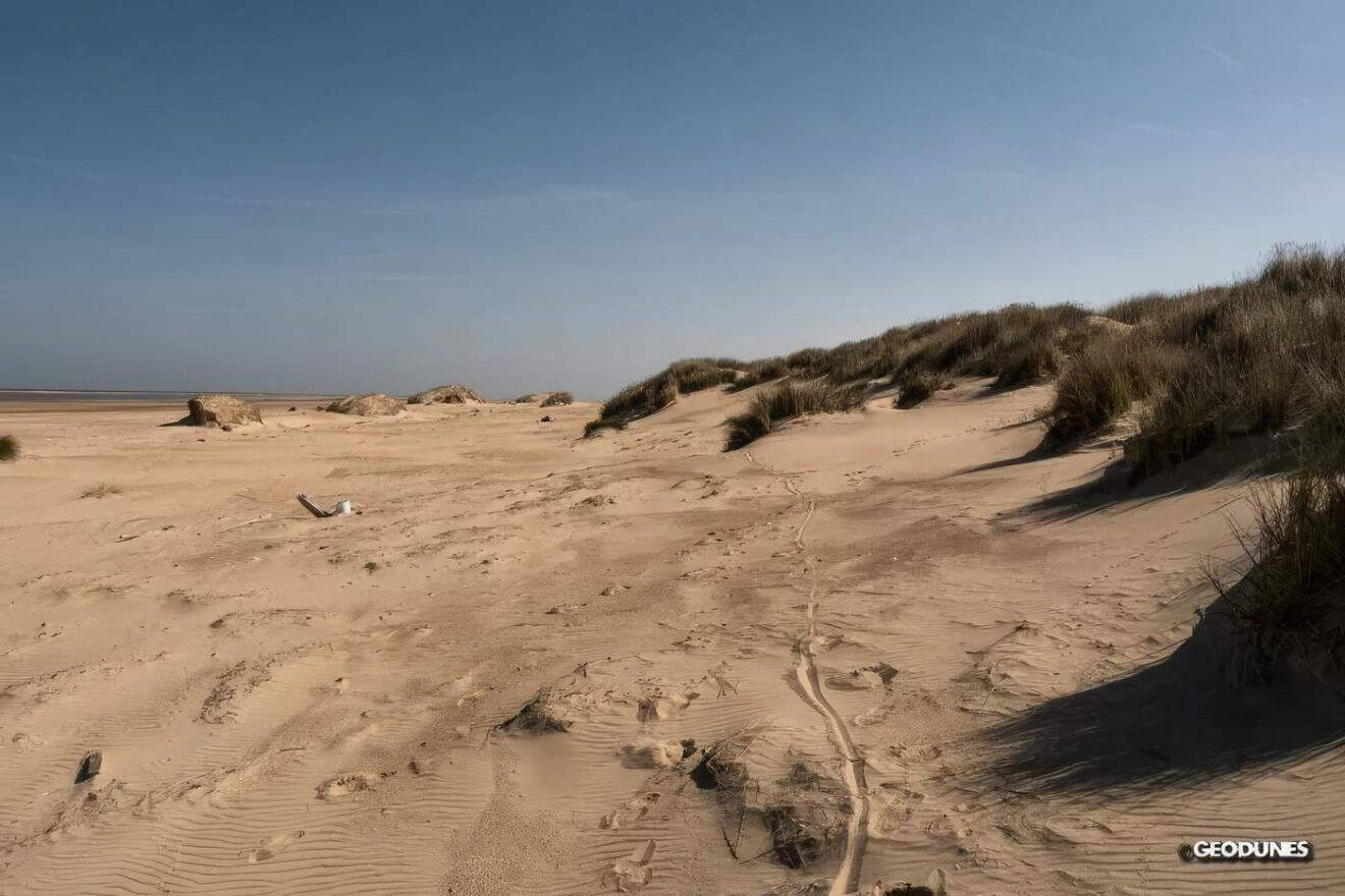 Recherche: Suivi topographique du trait de côte et de la morphologie ...