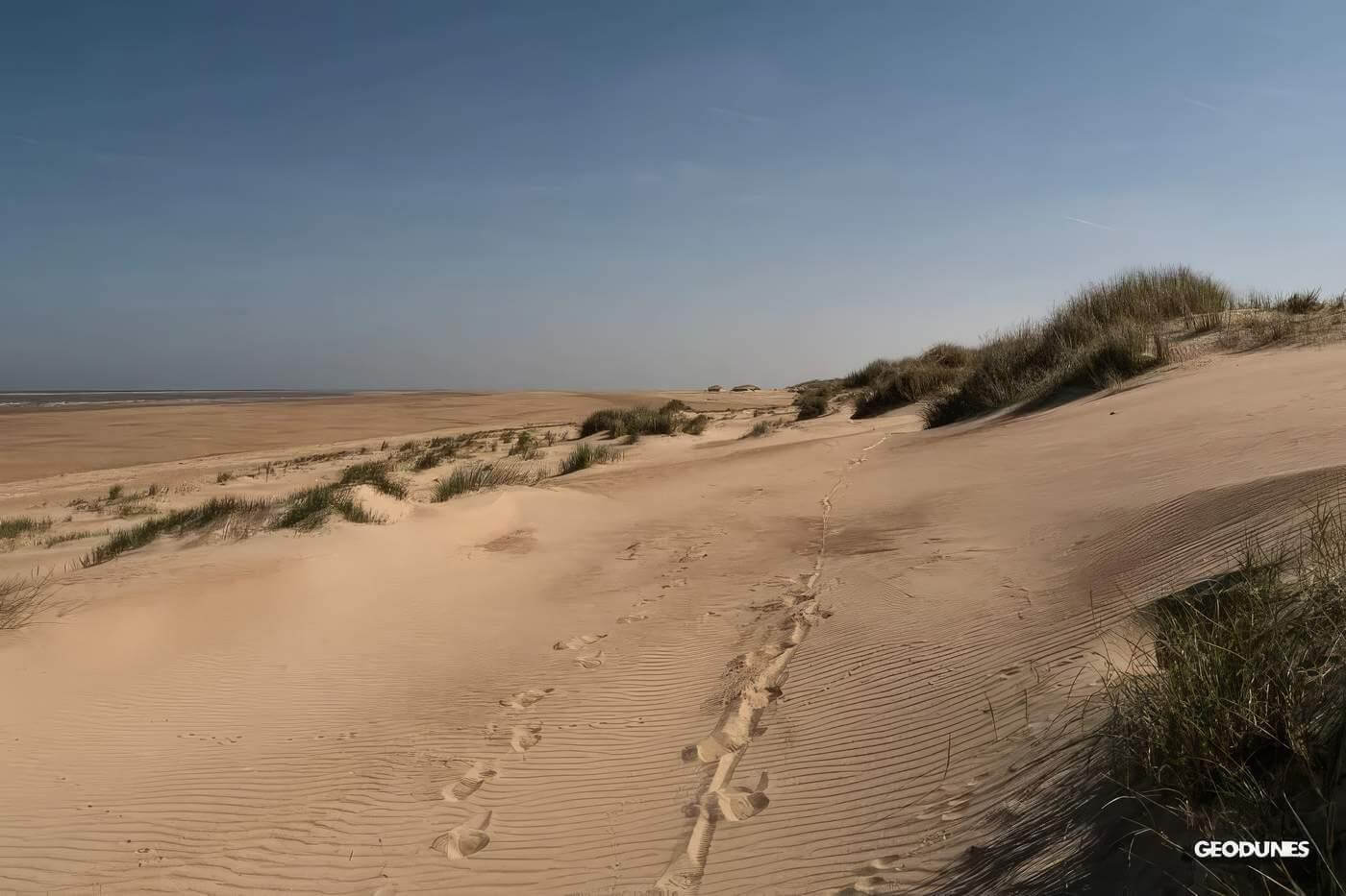 Recherche: Suivi topographique du trait de côte et de la morphologie ...