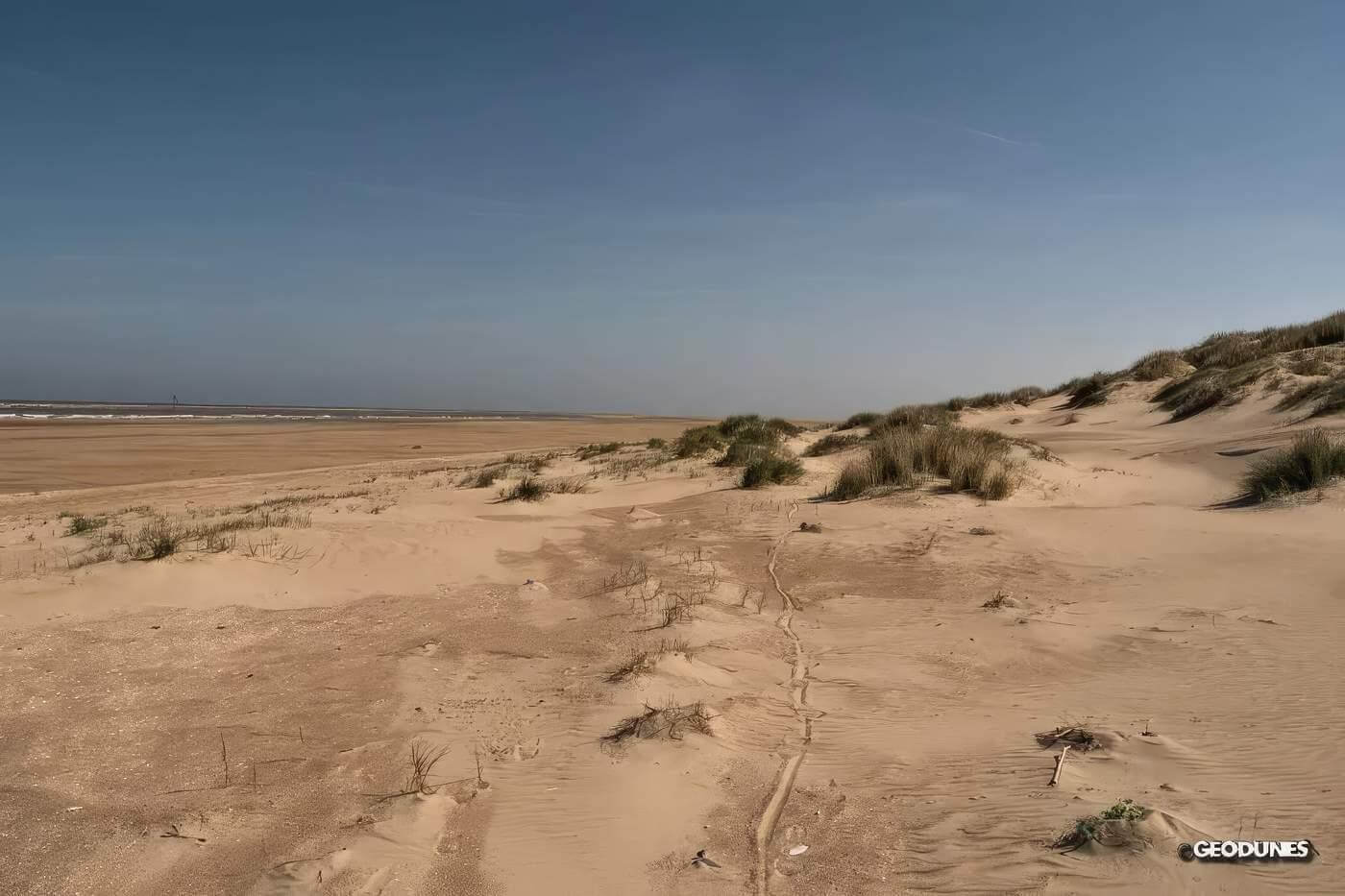 Recherche: Suivi topographique du trait de côte et de la morphologie ...